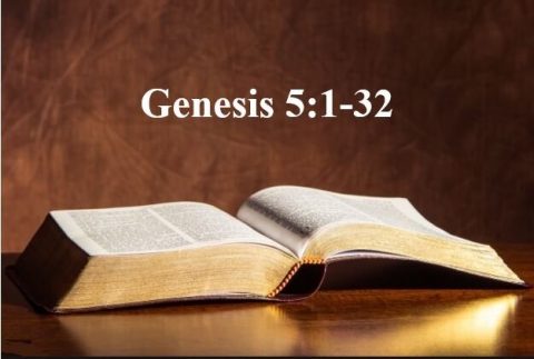 Bible Outlines - Genesis 5:1-32 - Walking With God