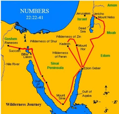 Bible Outlines - Numbers 22:22-41 Perception and Protection Via a Dumb ...